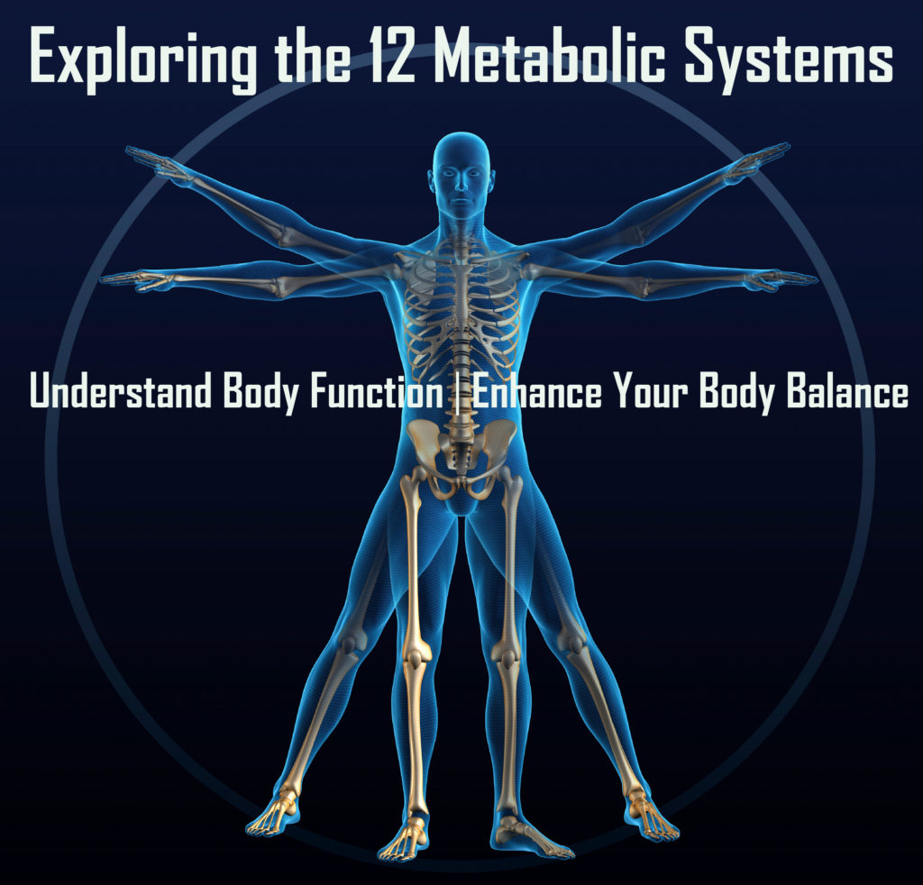 Metabolism In The Human Body Passnownowcom
